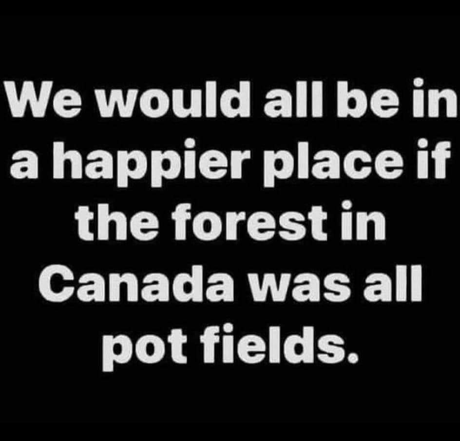 Indeed - Meme by MemeoryLaine :) Memedroid