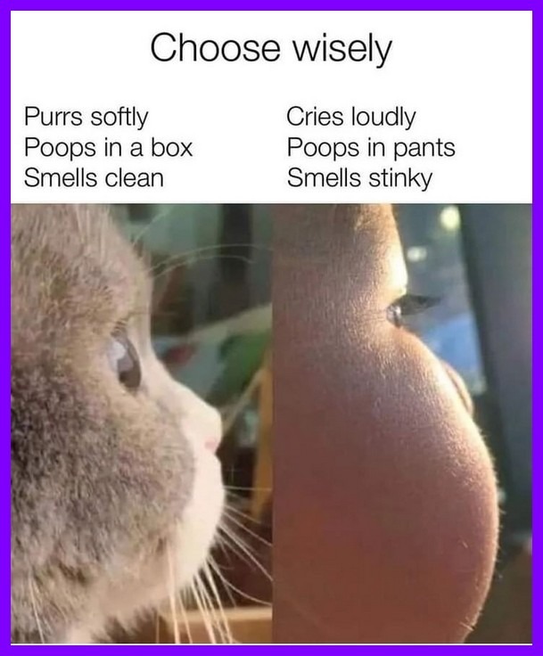 Latest memes / New memes :) Memedroid