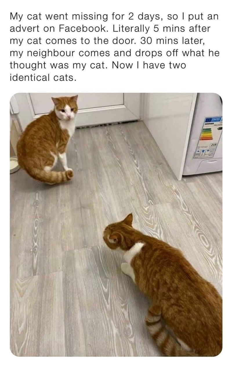 The Latest Memes :) Memedroid