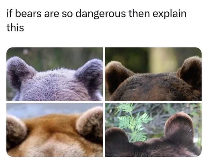 Explain this! - Meme by audilover23 :) Memedroid