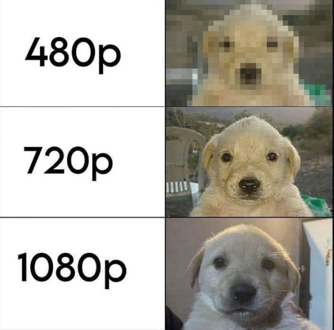 Top memes de Guau en español :) Memedroid