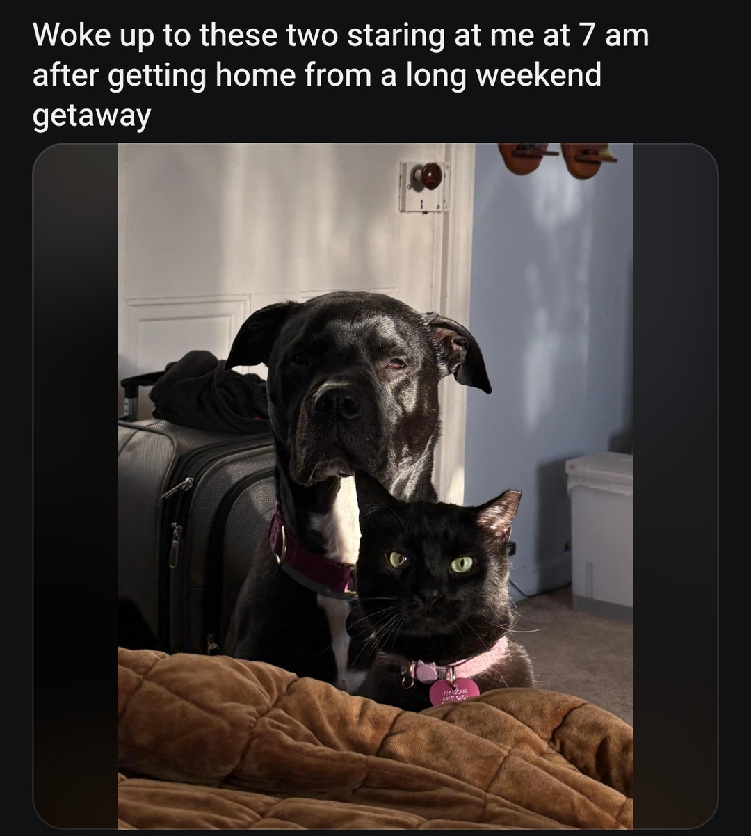 The best Homecoming memes :) Memedroid