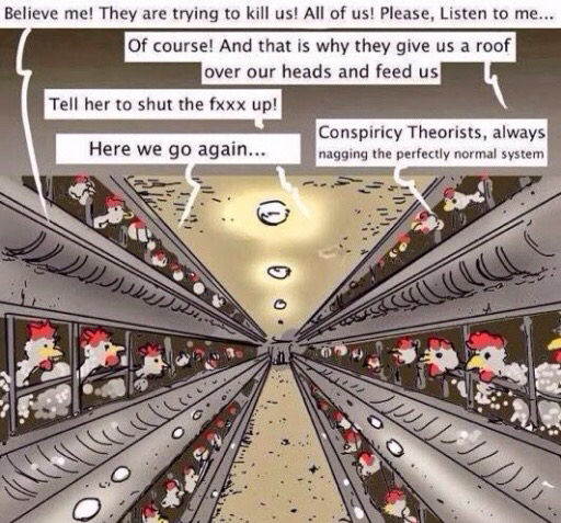 Chicken - Meme by BickDigDaddy :) Memedroid