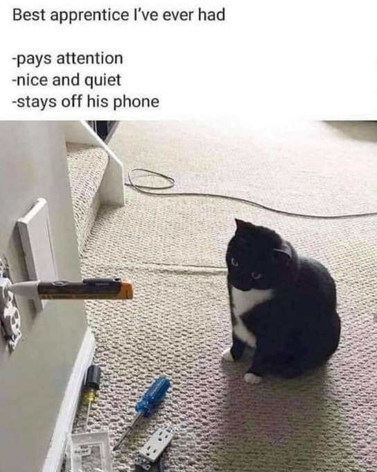 Best apprentice - Meme by schizoidman :) Memedroid