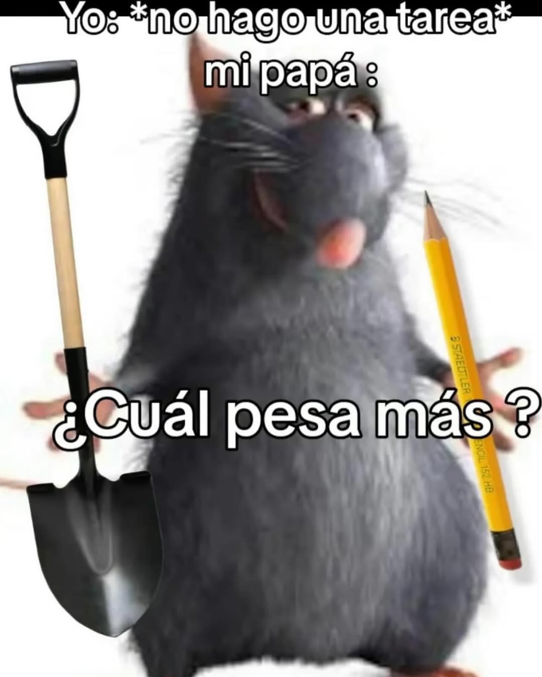 Mira Todos Los Memes De Tareas