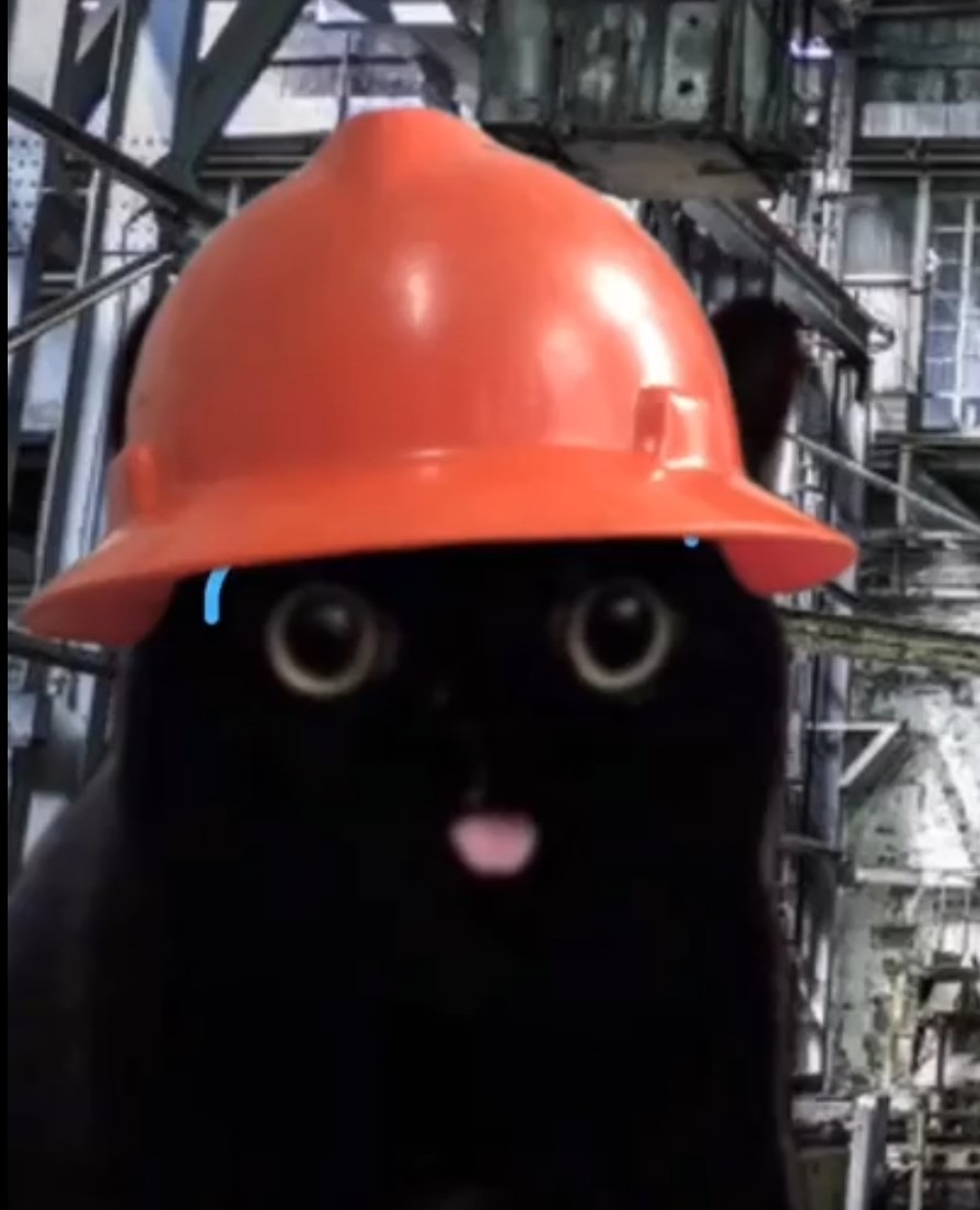 Gato operador industrial - Meme subido por Bite_Skull_Studios :) Memedroid