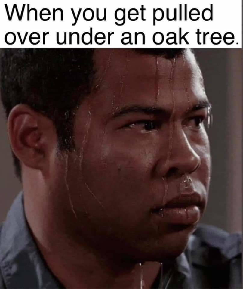 The Latest Memes :) Memedroid