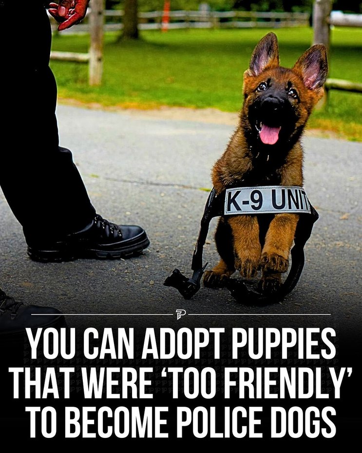 Latest memes / New memes :) Memedroid