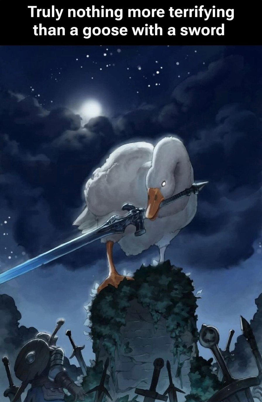 The best Goose memes :) Memedroid