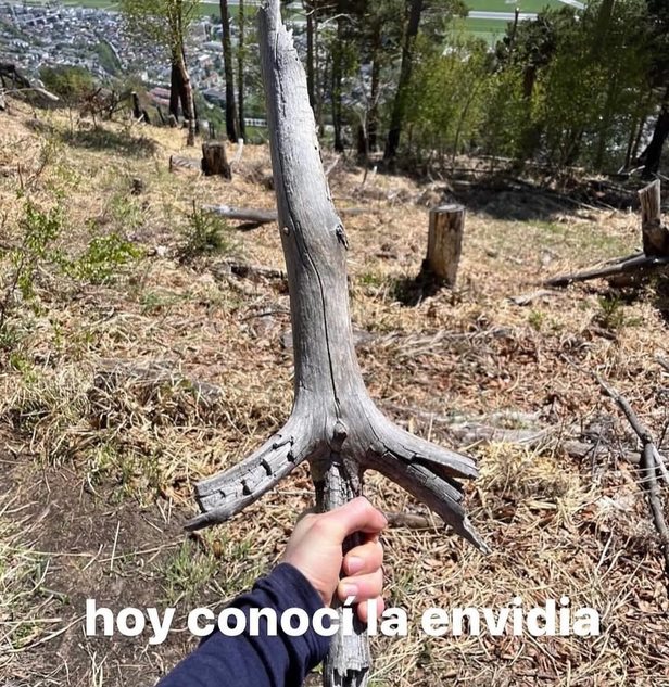 Los mejores memes de noviembre 2025 - El Blog de Memedroid