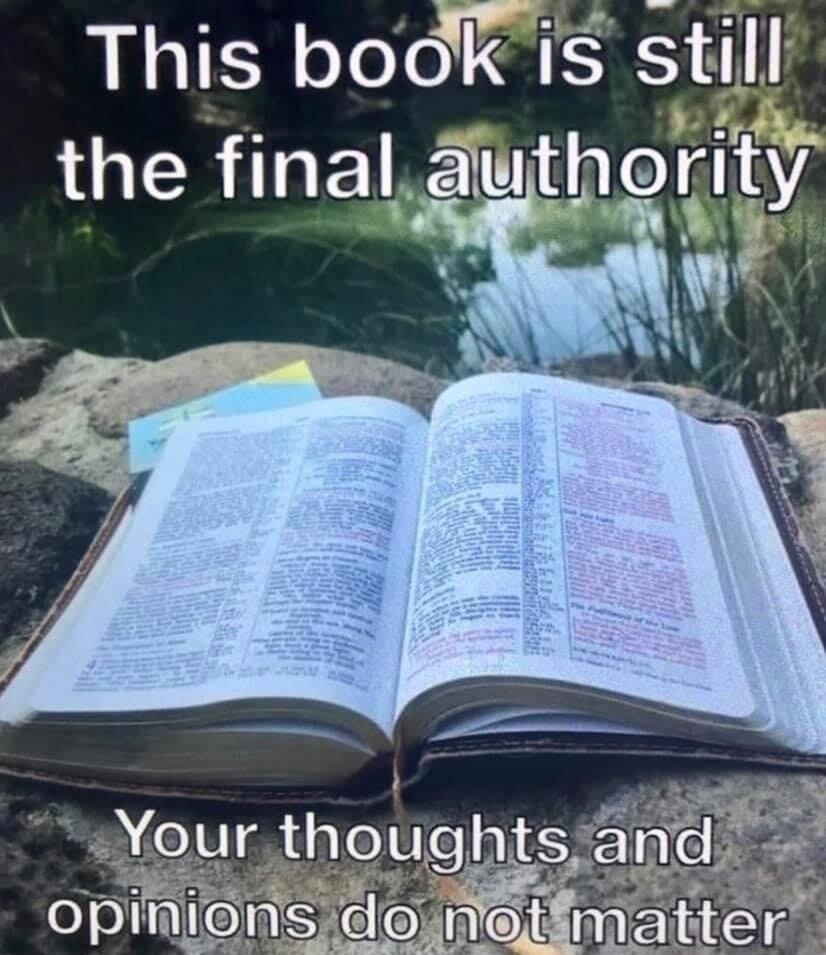 The Latest Memes :) Memedroid