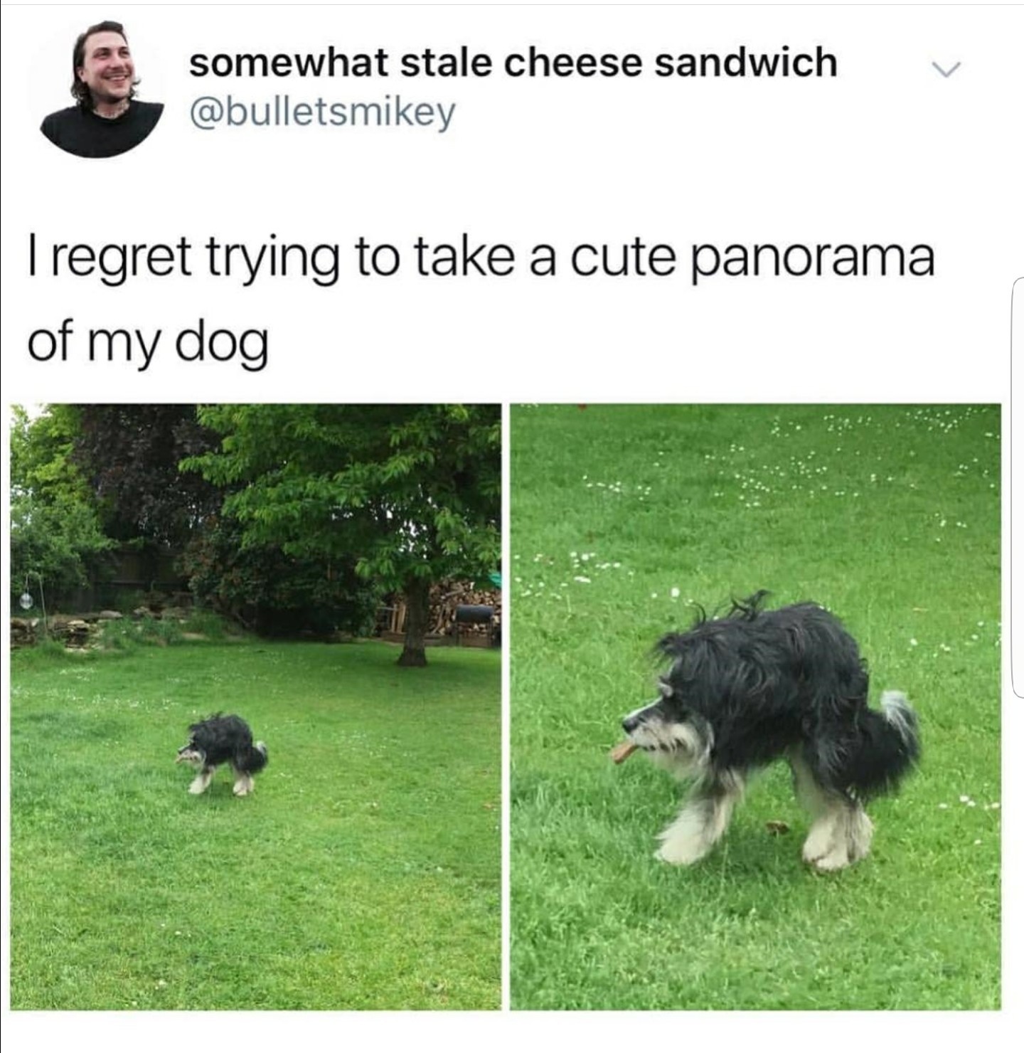 A new species discovered - Meme by Slickgamwrq80 :) Memedroid