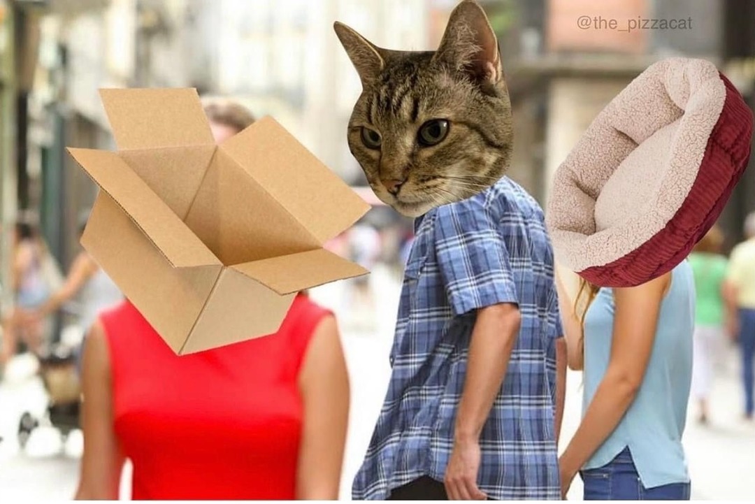 Latest memes :) Memedroid