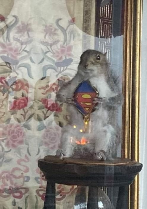 Top memes de Ardillas en español :) Memedroid