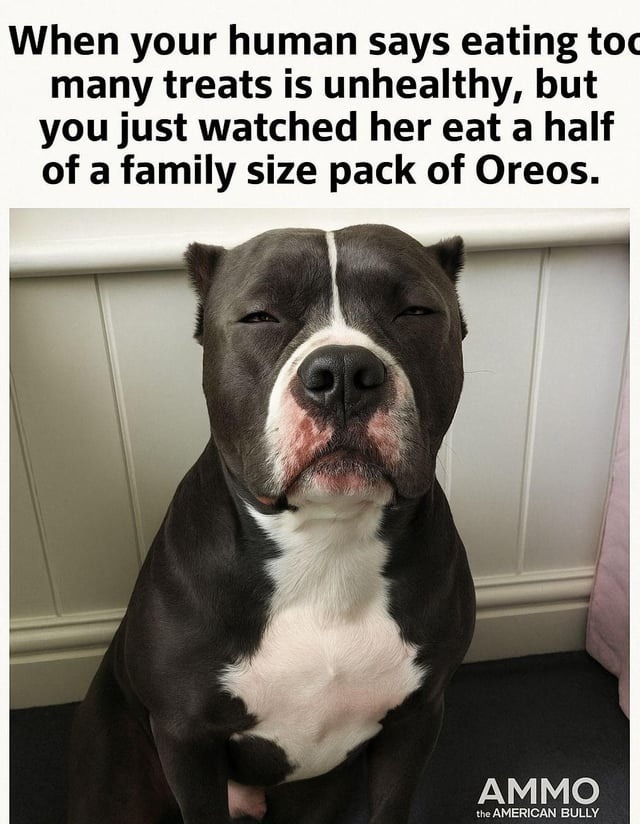 The best Snacks memes :) Memedroid