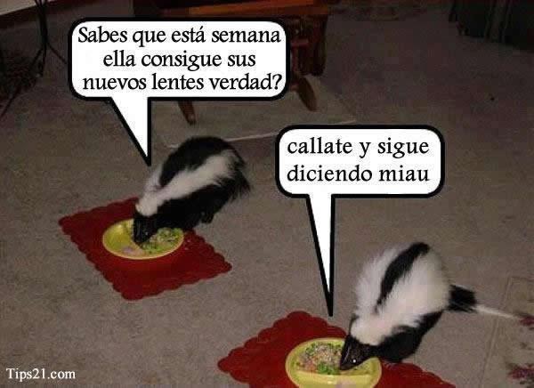 Callate y disimula - Meme subido por Elabogado-2083 :) Memedroid