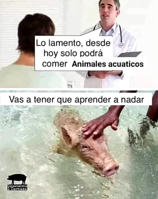 Nunca aprendio - Meme subido por UnRandomPL :) Memedroid