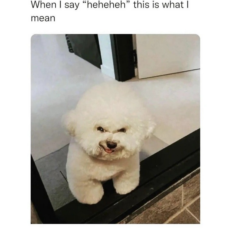 The Best Doge Memes :) Memedroid