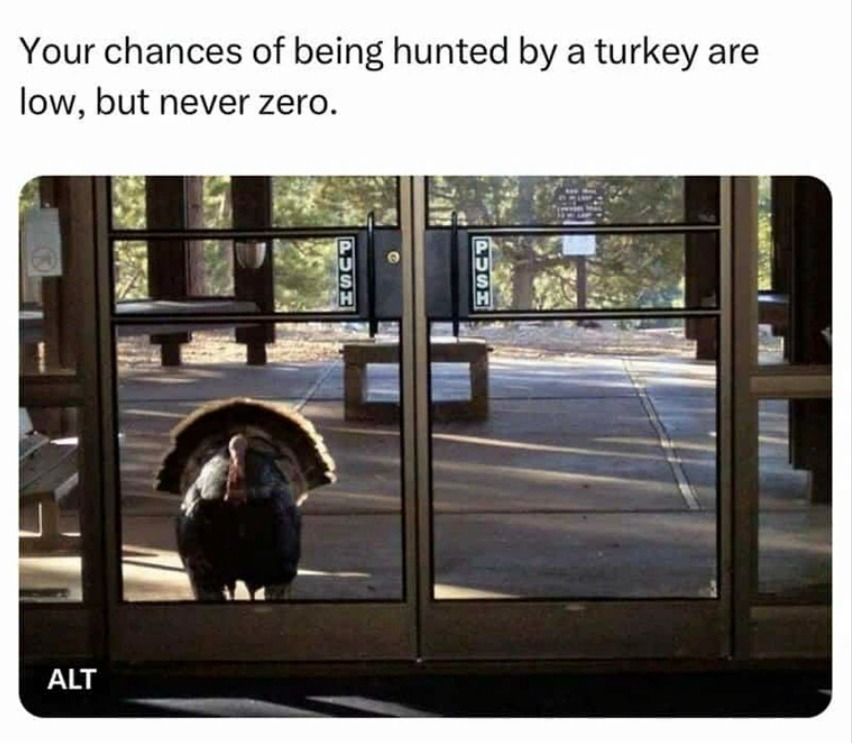 The best Turkey memes :) Memedroid