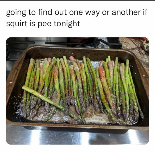 Latest memes / New memes :) Memedroid