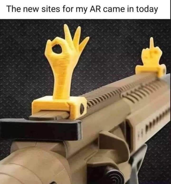 New sights for my assault rifle just arrived - Meme by Dranklestein ...