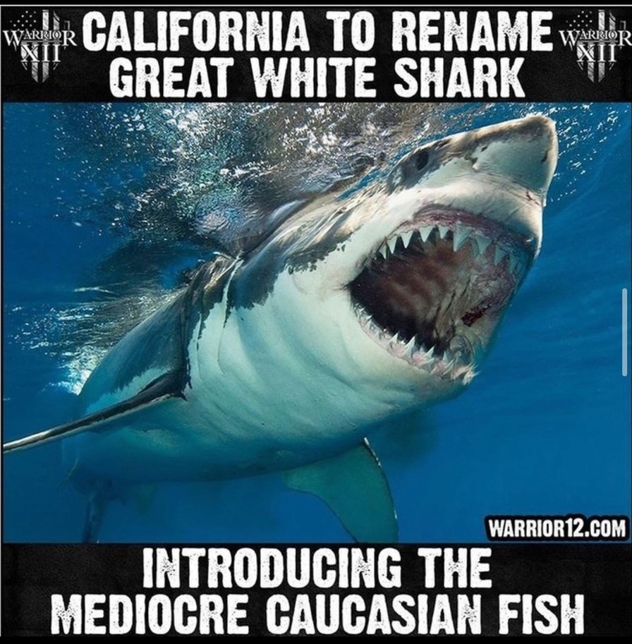 haha - Meme by HailToTheMemeKing :) Memedroid