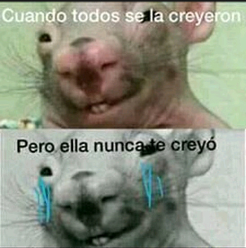 Seguime lince :D - Meme subido por EthernalZRakion1 :) Memedroid