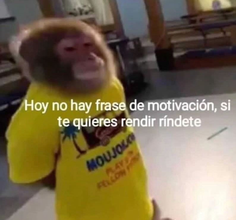 Top Memes De Motivación En Español Memedroid