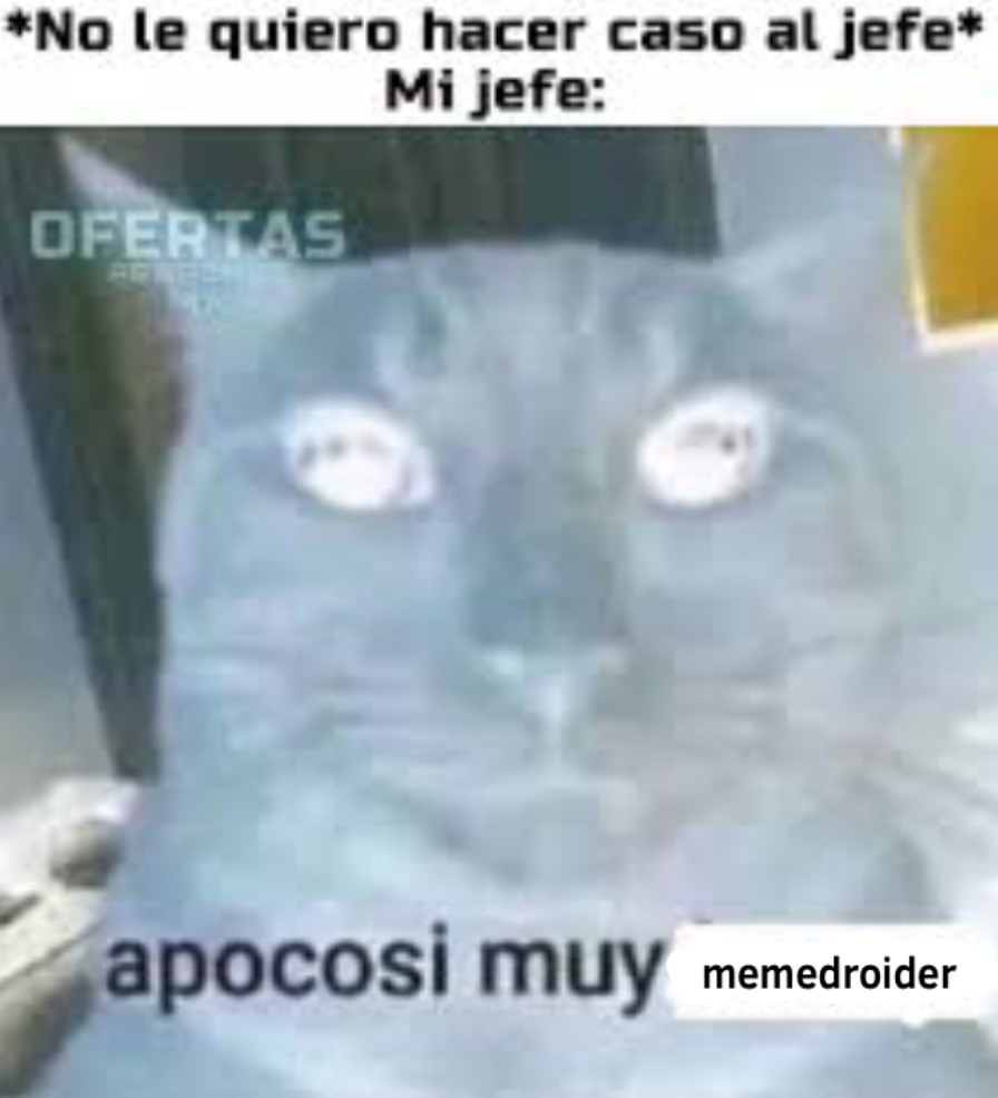 Memes Cuando Tu Jefe Qué Puedo Hacer Si Tengo Un Jefe Insoportable?