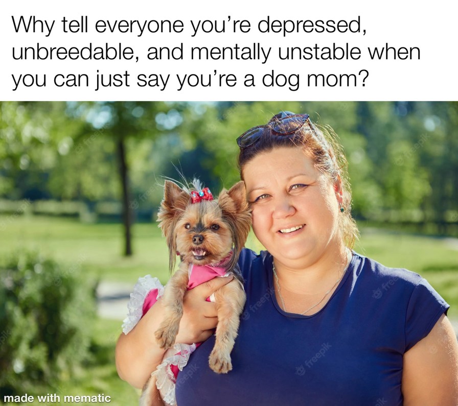 Poodle Mom Memes Rovercruise (@rovercruise) Even The Dog Knows The