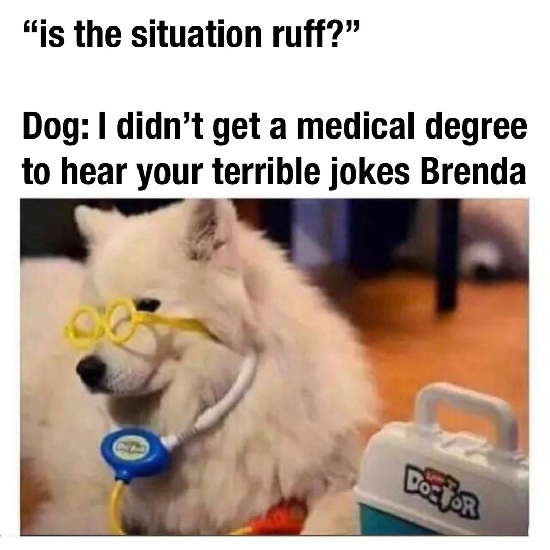 Damnit Brenda, this is serious - Meme by arbosa :) Memedroid