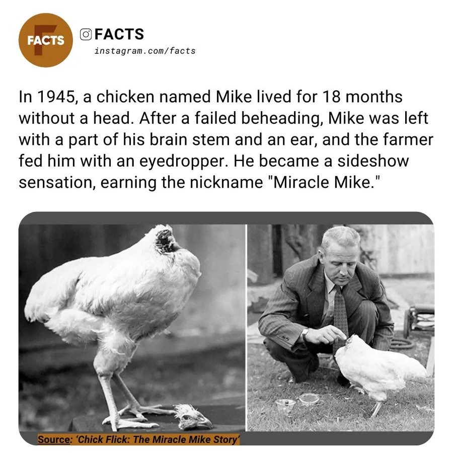 The best Uncanny memes :) Memedroid