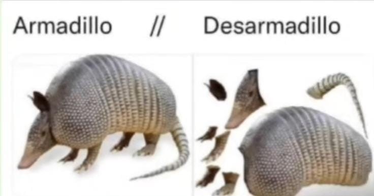 Top memes de Hhdhdhdjjdjdjd en español :) Memedroid