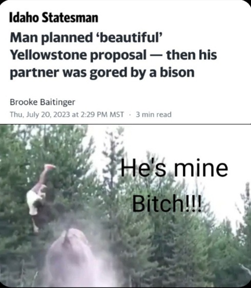The best Bison! memes :) Memedroid