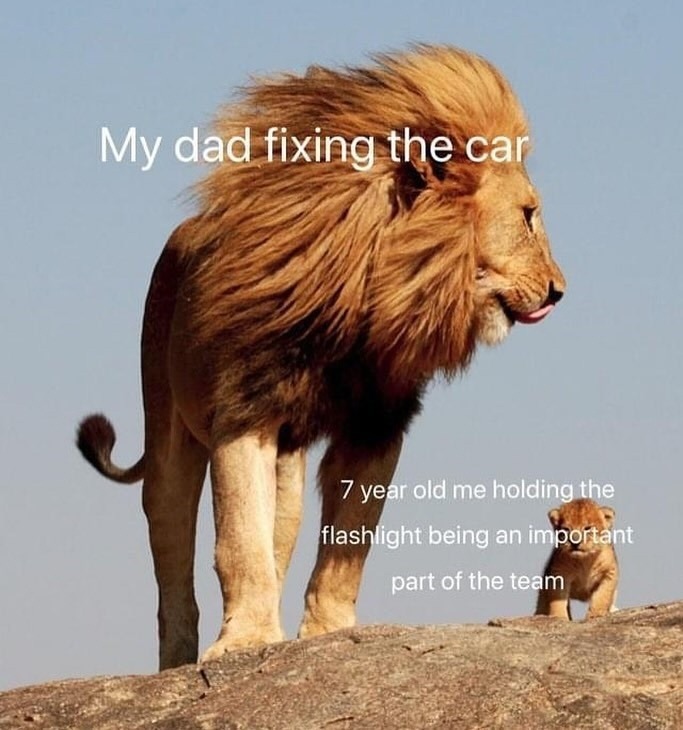 The best Flashlight memes :) Memedroid