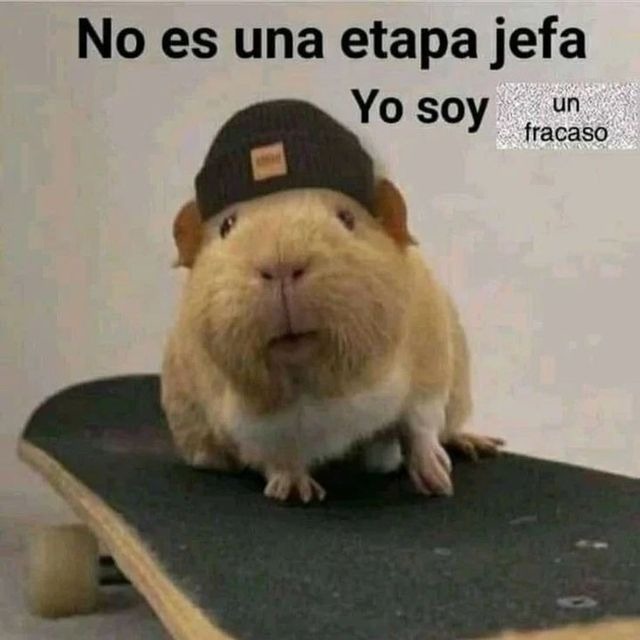 Yo - Meme subido por Aidan. :) Memedroid