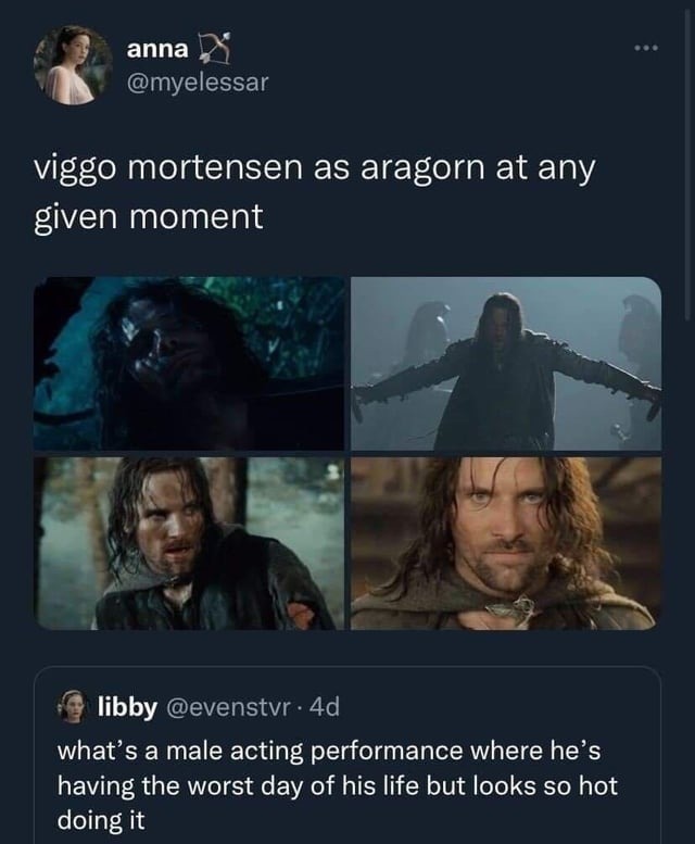 The best Aragorn memes :) Memedroid