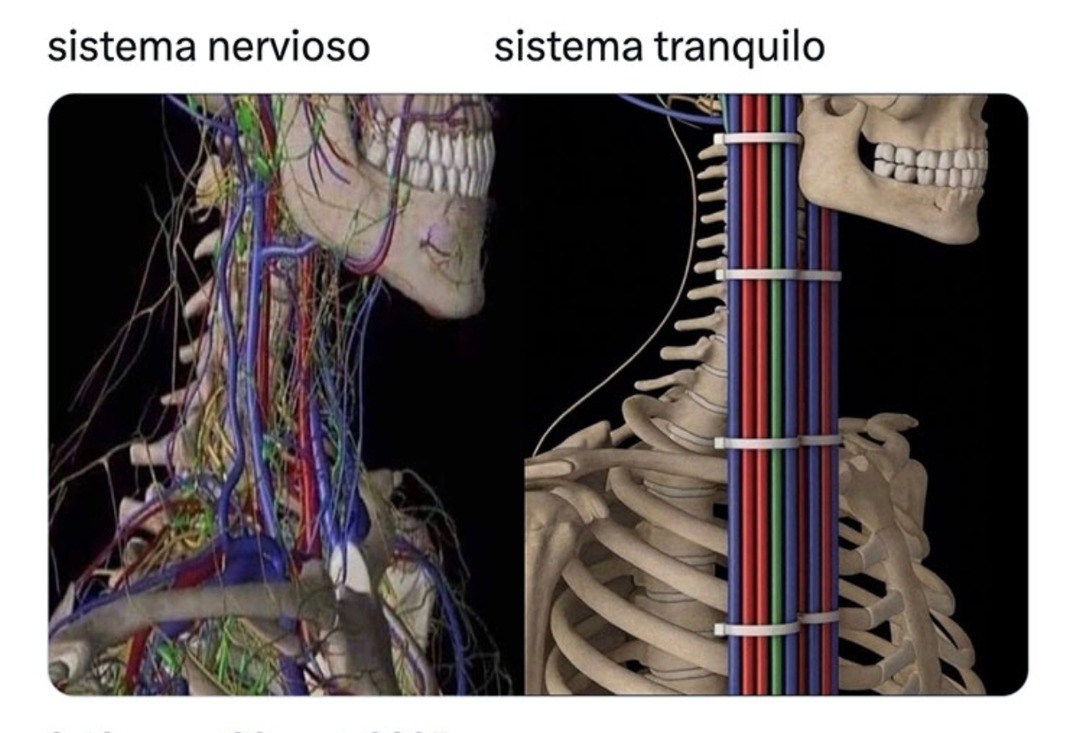 Top memes de Estres en español :) Memedroid