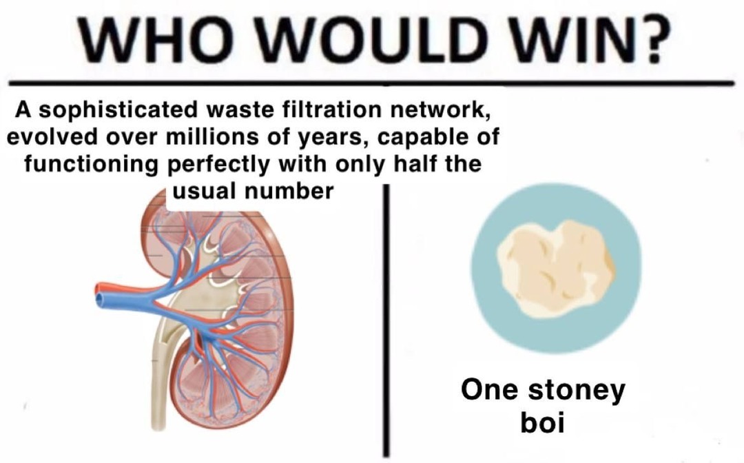 The best Evolution memes :) Memedroid