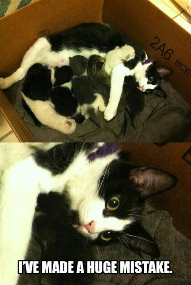 O.O - Meme by -0- :) Memedroid