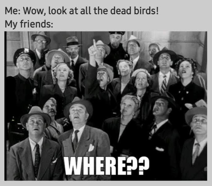 Yes, they are - Meme by prlugo :) Memedroid