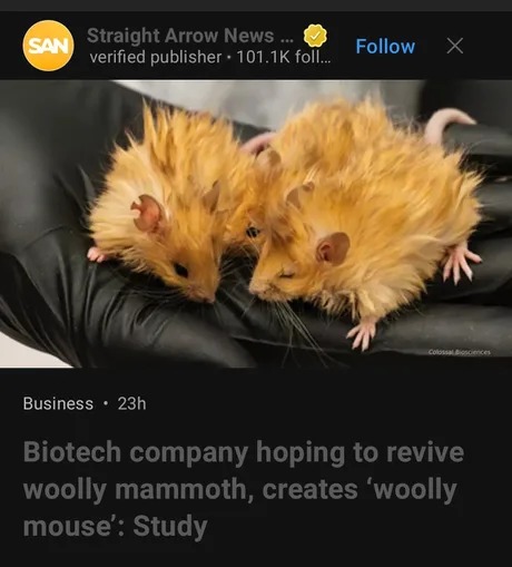 The best Mammoth memes :) Memedroid