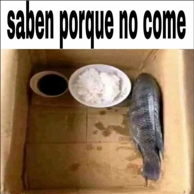 pq no come mi pes - Meme subido por deleted_8baf8ce61f1 :) Memedroid