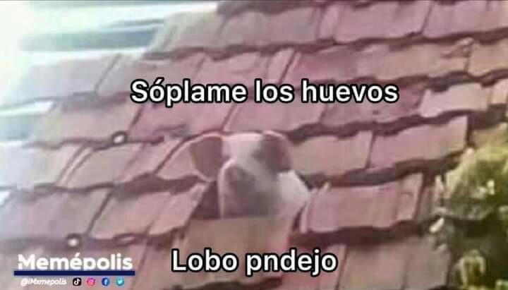 Mamamelguevo - Meme subido por Aquiles_Brinko :) Memedroid