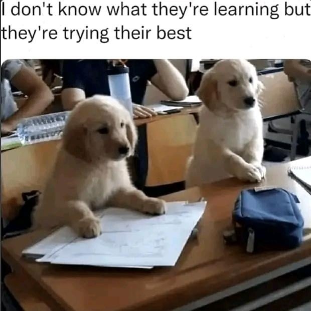 The best Learning memes :) Memedroid