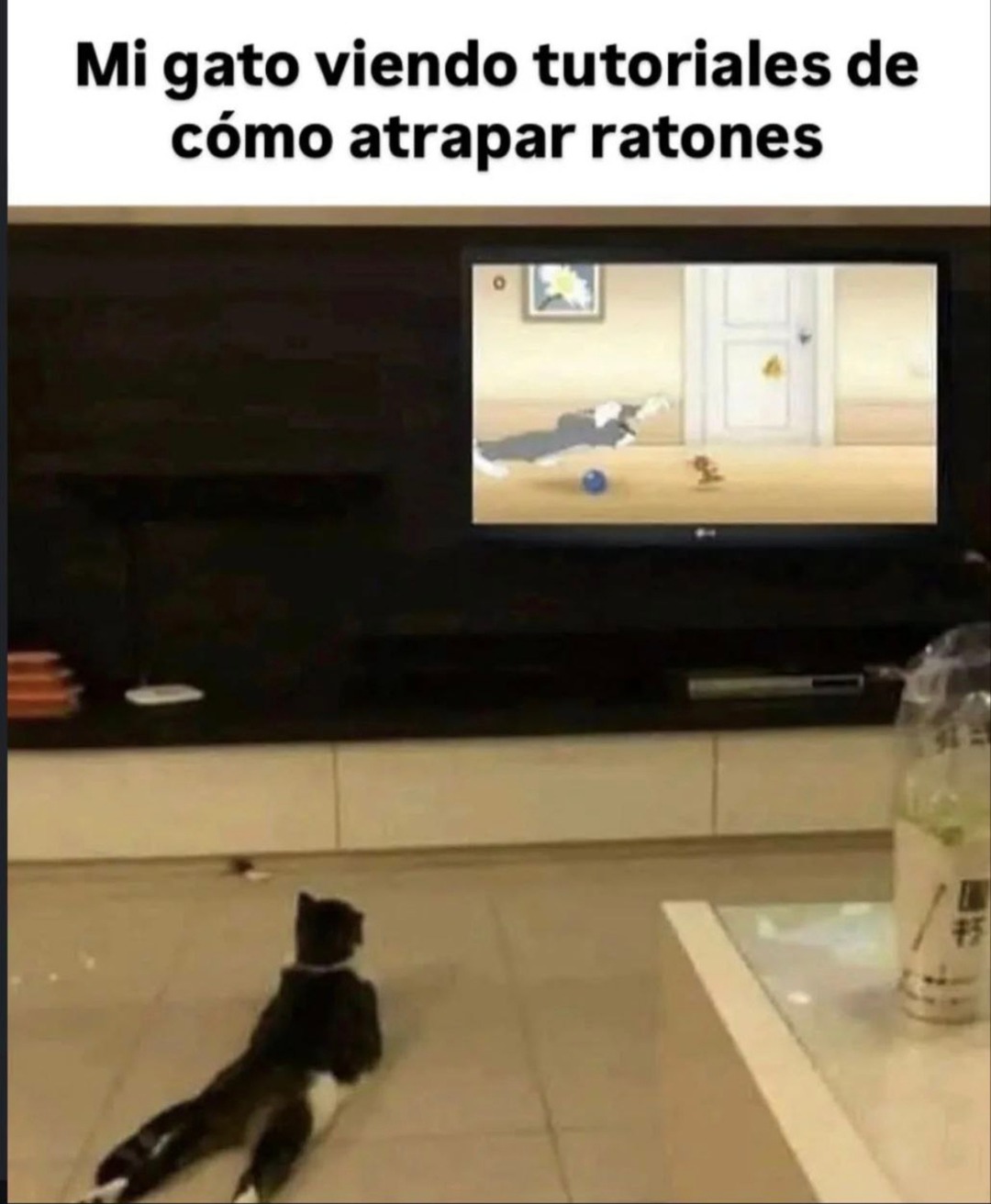 Top memes en tendencia en español :) Memedroid