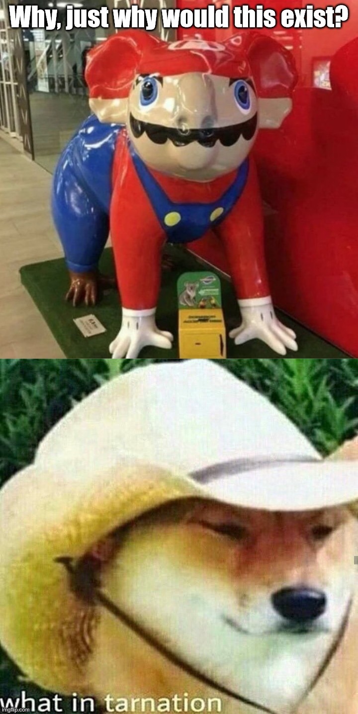 Latest memes :) Memedroid