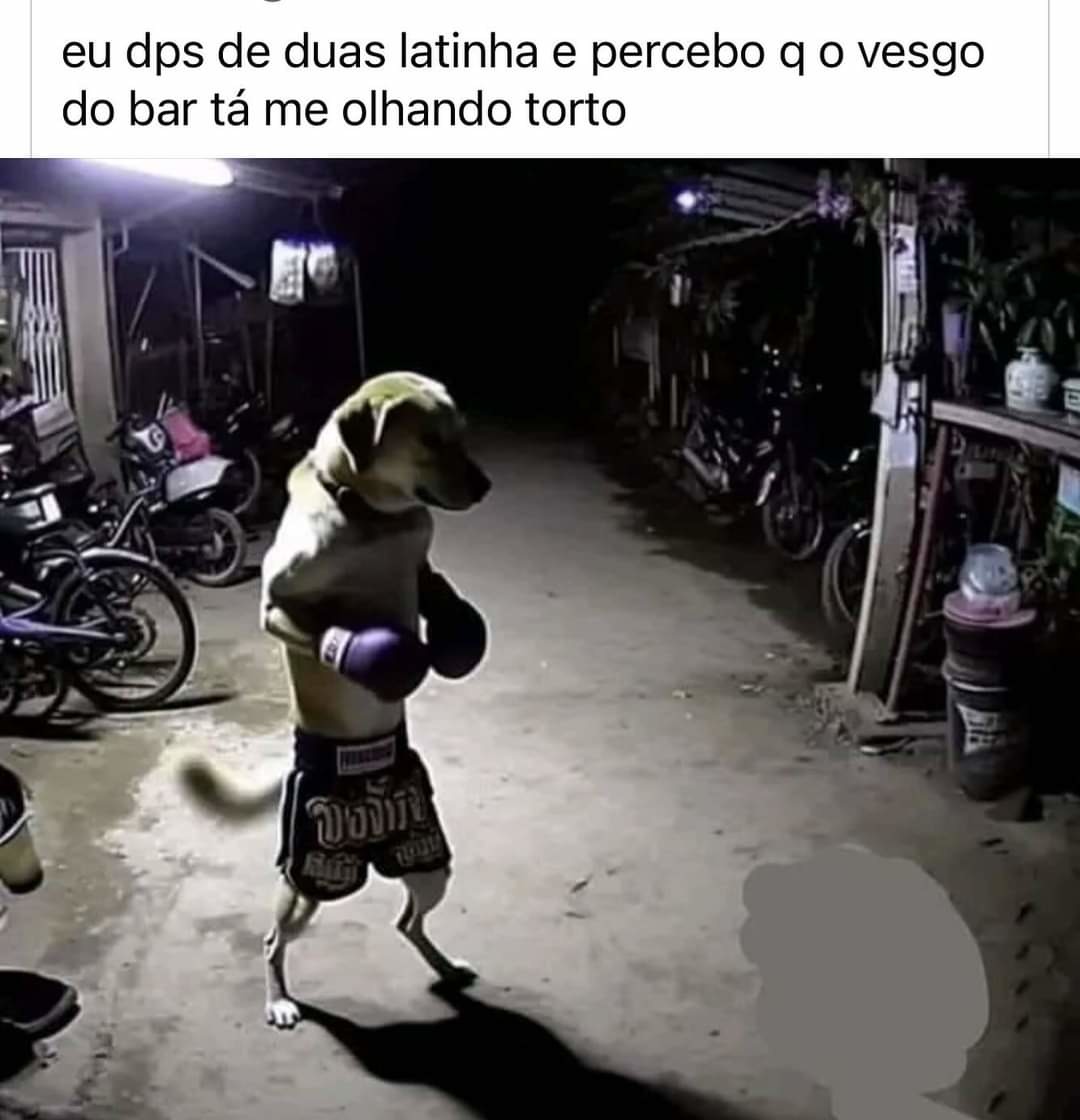 The Latest Memes :) Memedroid