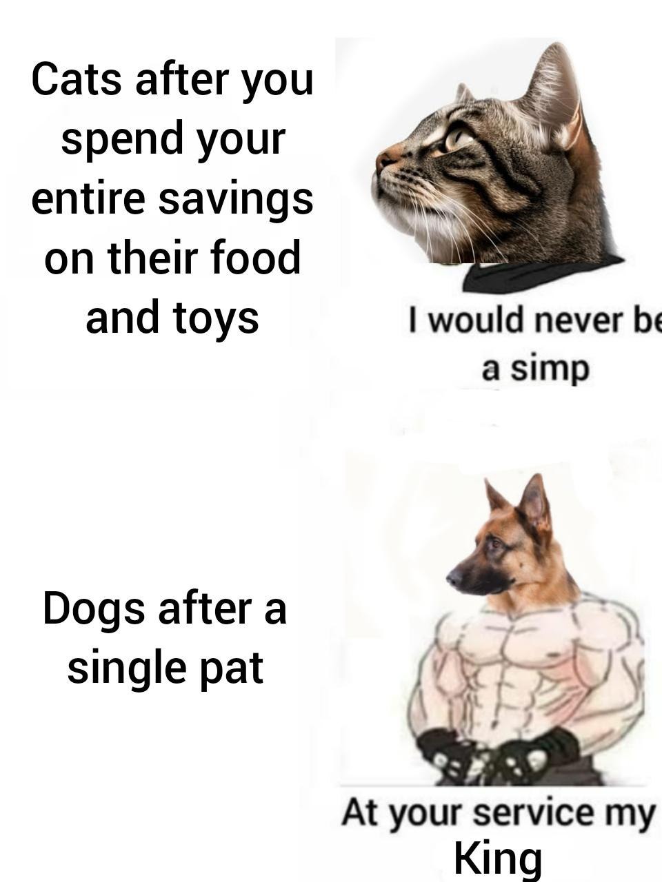 Dog Loyalty Memes