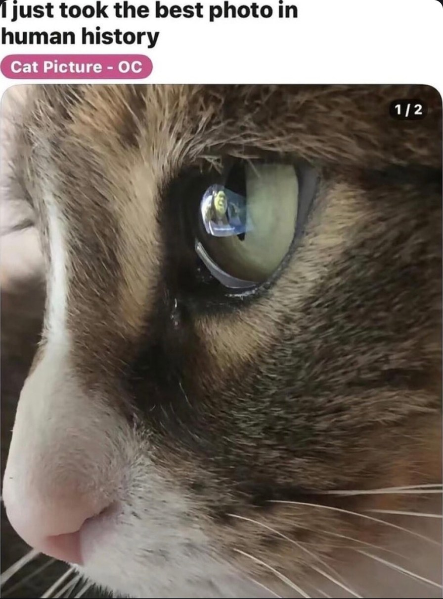 The best Masterpiece memes :) Memedroid